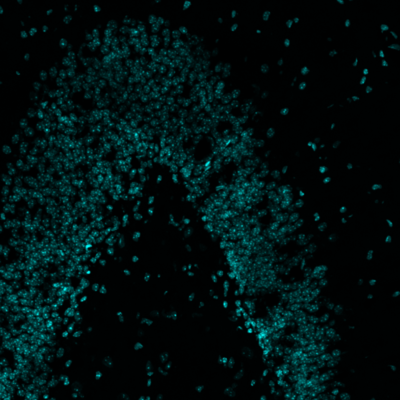 Eli Spector | Are.na