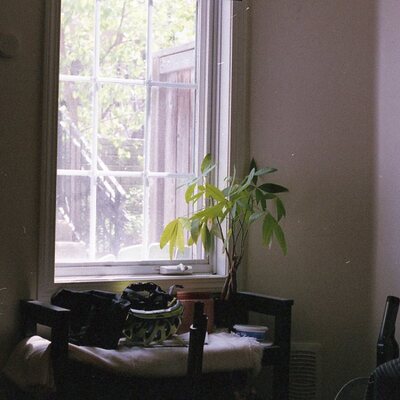 shiloh williams | Are.na