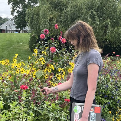 Hannah Lesser | Are.na