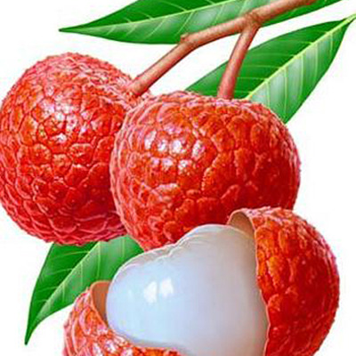 Rebecca Weeks | Are.na